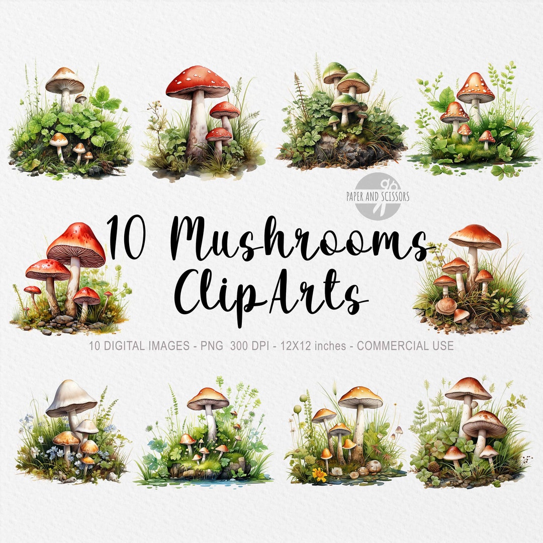 10 Mushroom Cliparts, Mushroom PNG, Mushroom Illustration, Watercolor ...