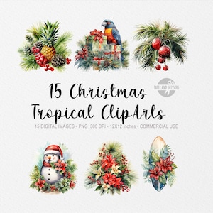 15 Tropical Christmas Cliparts, Tropical Christmas PNG, Tropical Santa ...