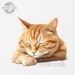 Ginger Cat Clipart, Ginger Cat PNG, Ginger Cat Illustration, Cat ...