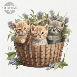 Little Kittens Clipart, Kitten PNG, Cat Illustration, Cat Clipart ...
