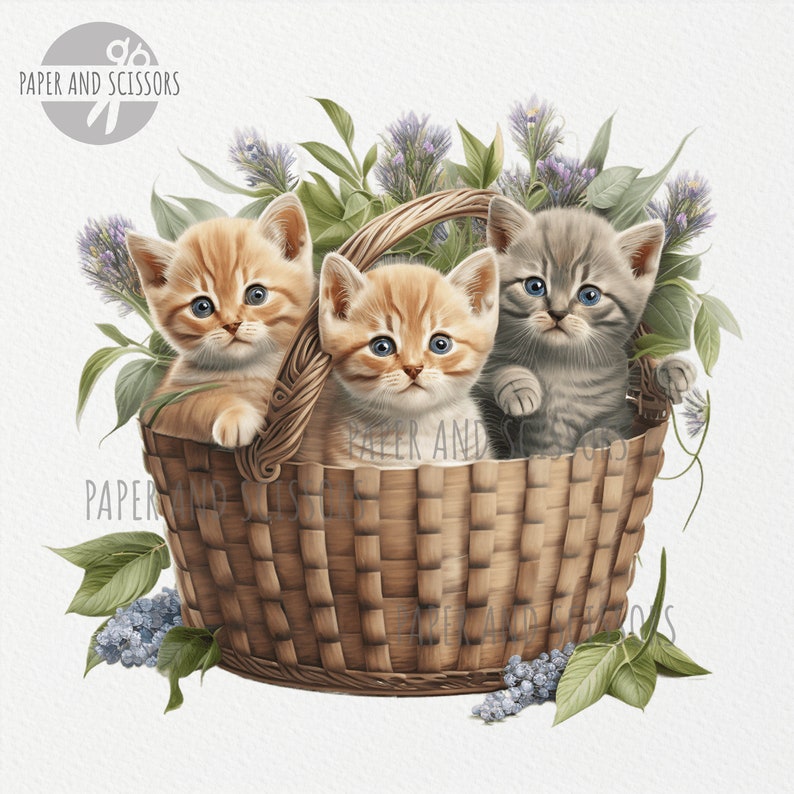 Little Kittens Clipart Kitten PNG Cat Illustration Cat - Etsy