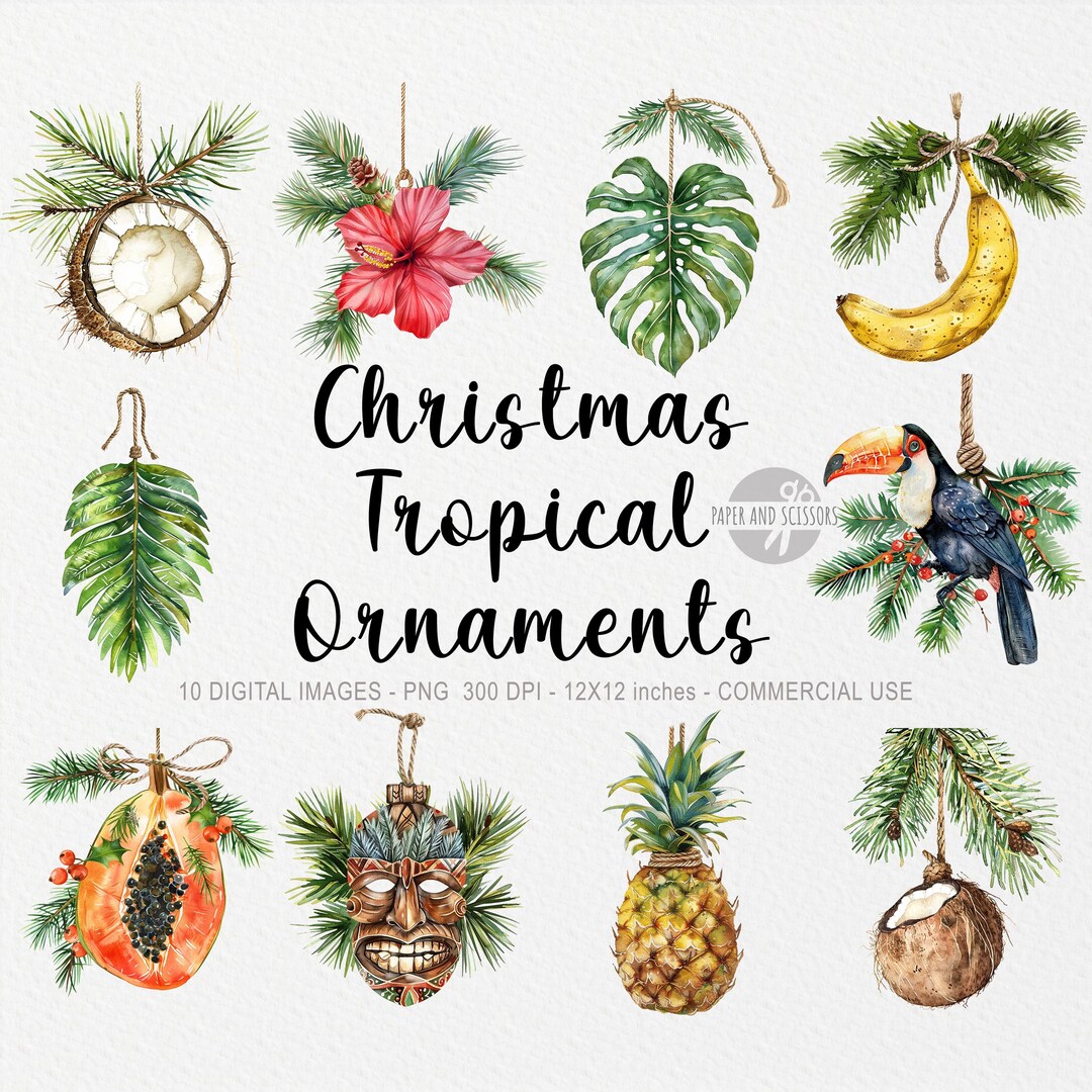 10 Tropical Ornament Cliparts, Christmas PNG, Exotic Boho Decor, Beach ...