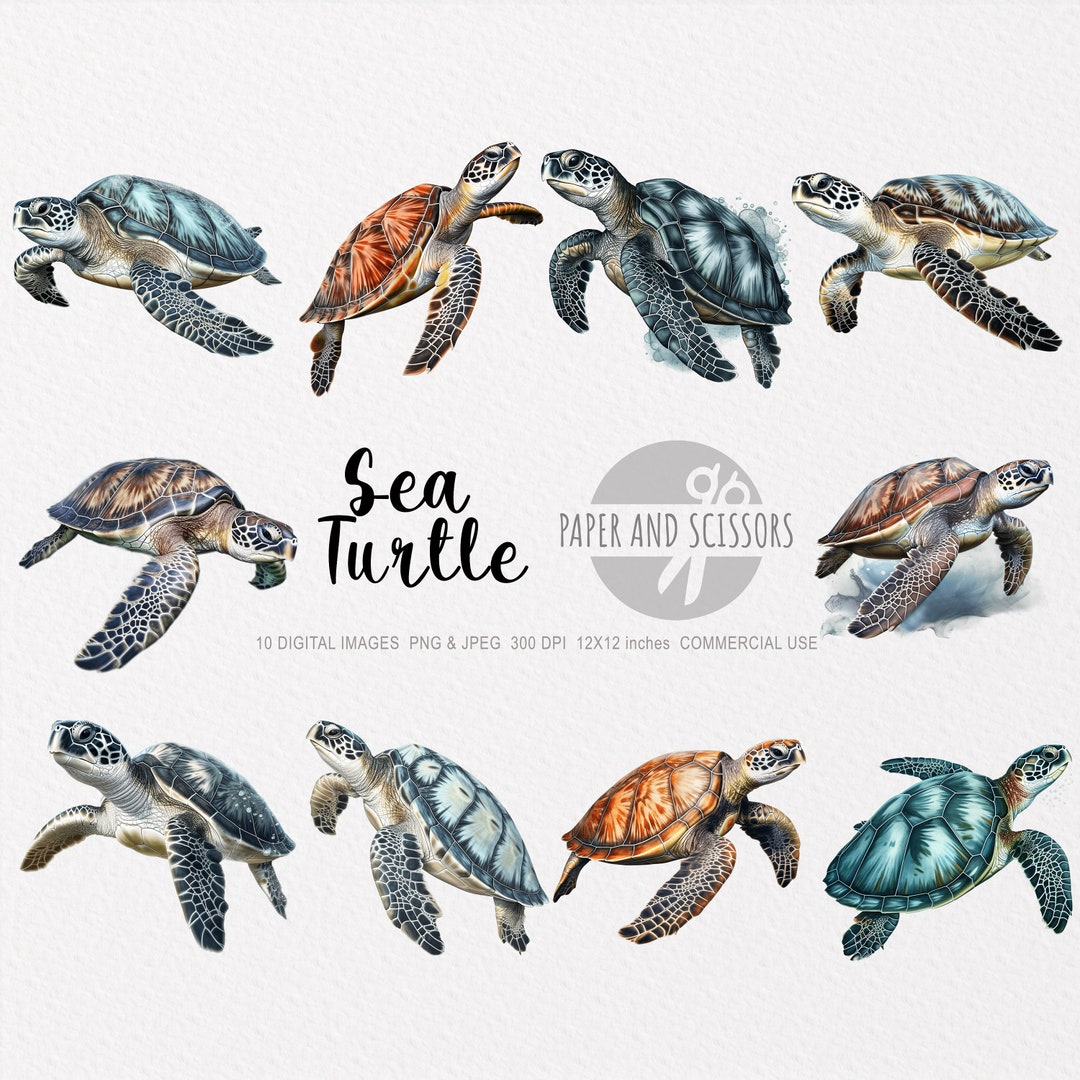 Sea Turtle Clipart, Sea Turtle PNG, Sea Turtle Illustration, Ocean ...