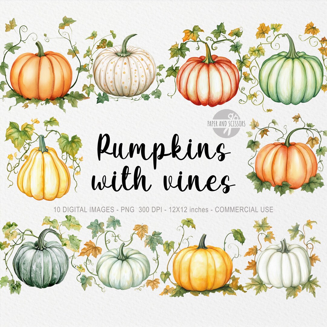10 Pumpkin With Vines Clipart, Autumn PNG, Fall Decor, Watercolor ...