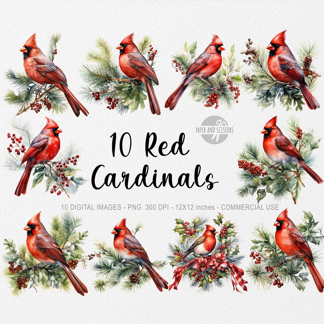 10 Christmas Red Cardinal Clipart, Red Cardinal PNG, Red Cardinal ...