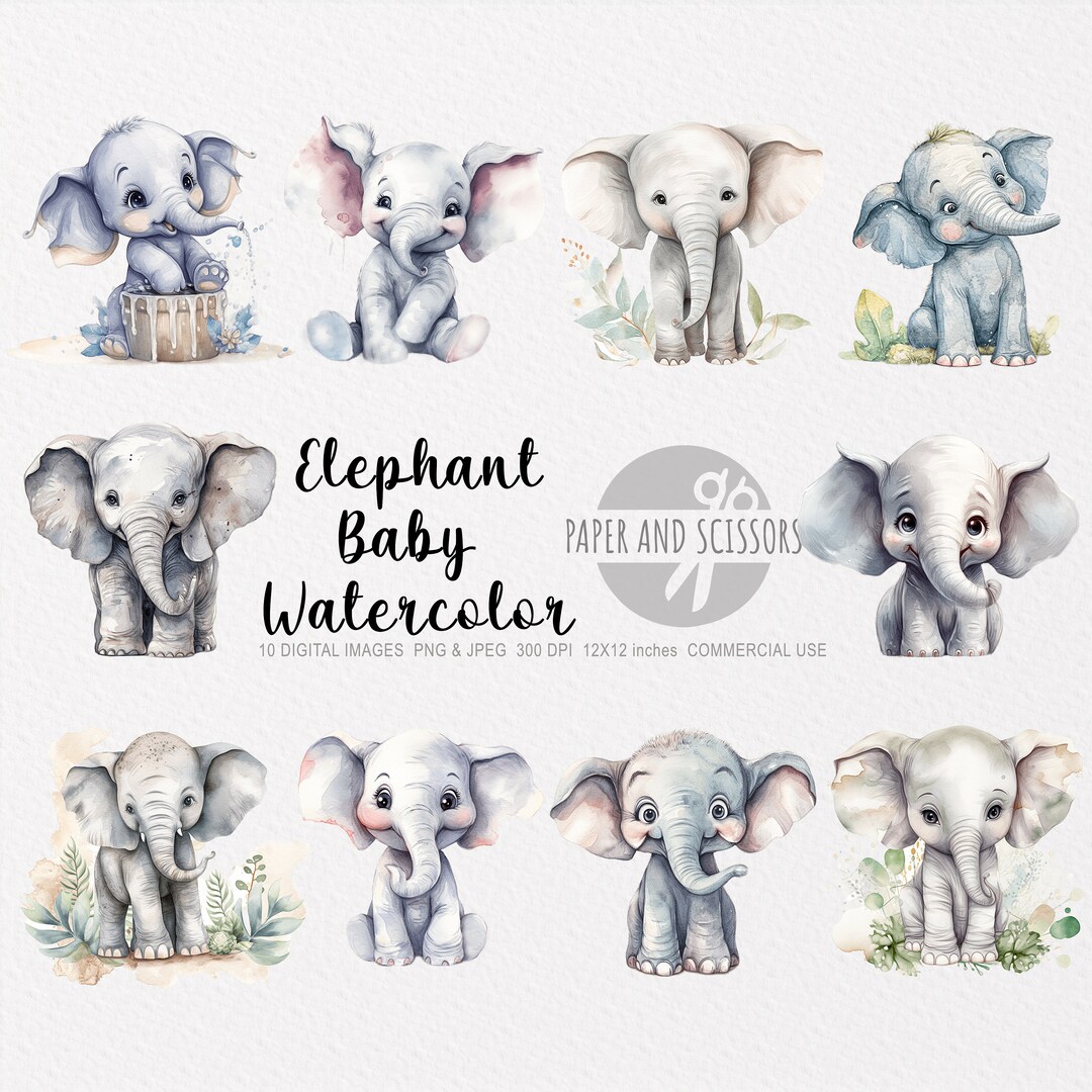 Baby Elephant Watercolor Clipart, Baby Elephant PNG, Elephant ...