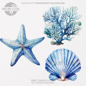 600+ Summer PNG Images, Tropical Clipart Bundle, Exotic Holiday PNG ...