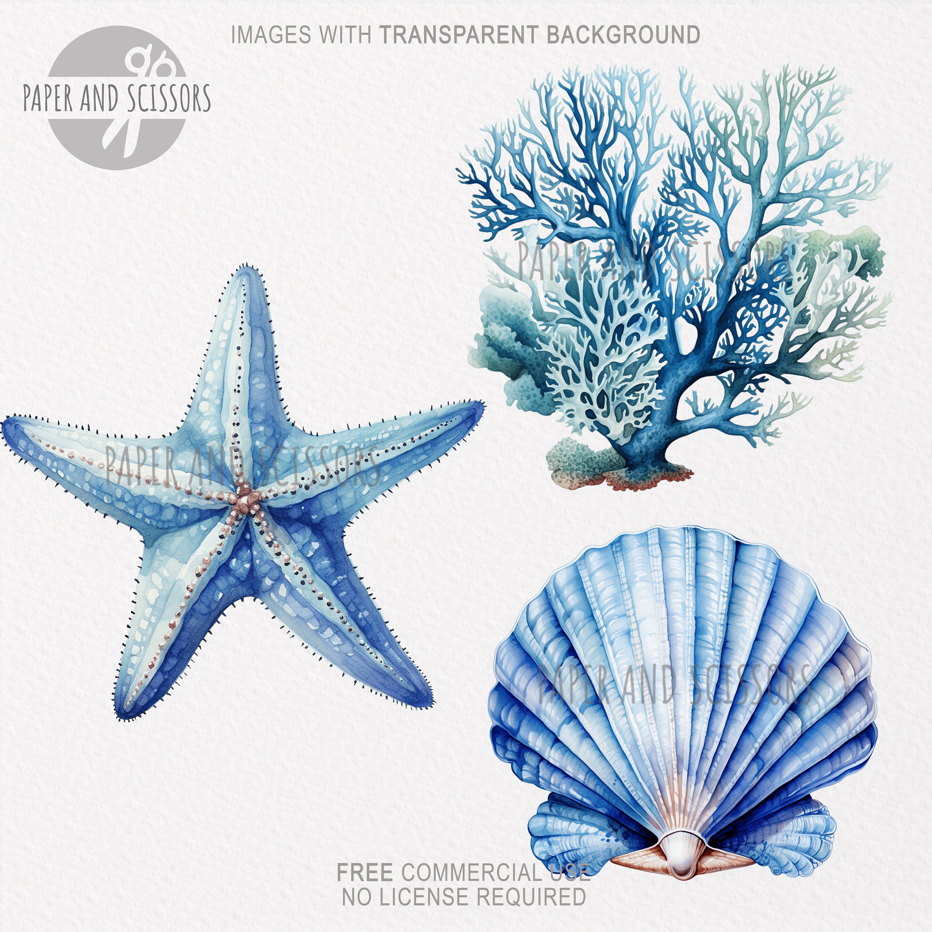 600+ Summer PNG Images, Tropical Clipart Bundle, Exotic Holiday PNG ...