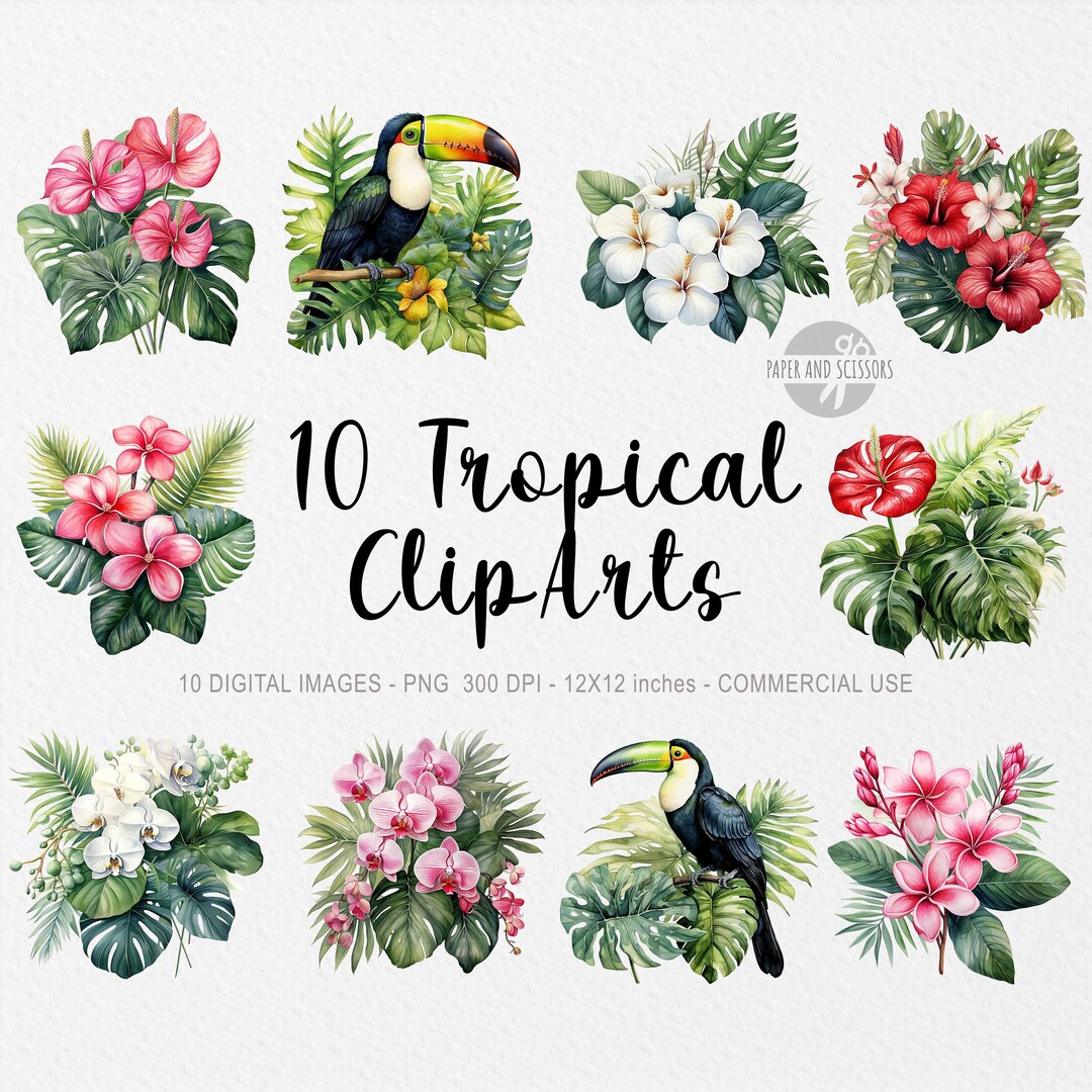 10 Tropical Cliparts, Watercolor Jungle Leaves PNG, Leaves Illustration ...