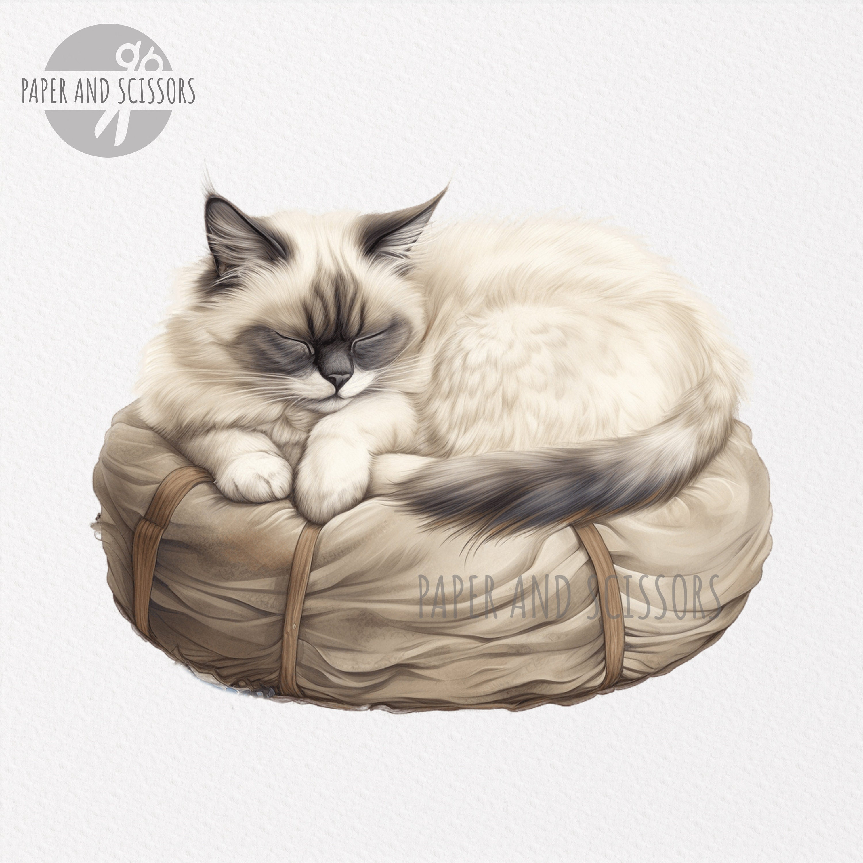 Ragdoll Cat Clipart Ragdoll Cat PNG Ragdoll Cat - Etsy Australia