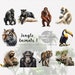 Jungle Animals Clipart, Jungle Animals PNG, Animals Illustration ...