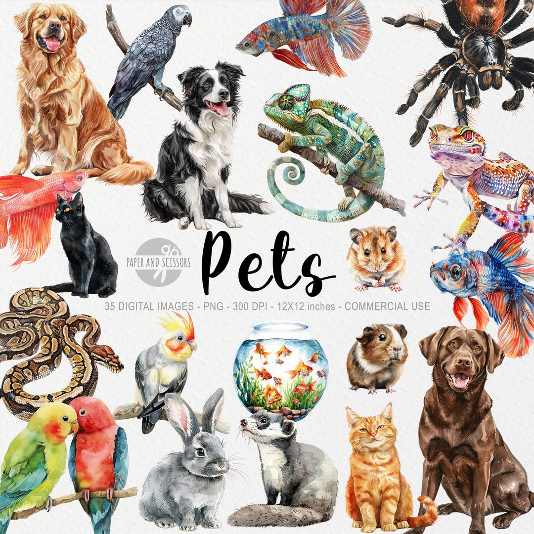 Pets Hobby Clipart, Cute Pets Clipart, Watercolor Pet PNG, Dog, Cat ...