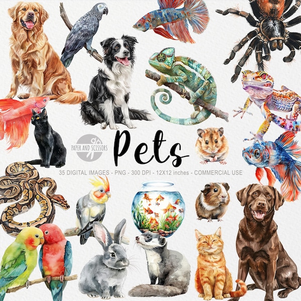 Pet Clip Art - Etsy