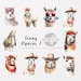 Funny Alpaca Clipart, Alpaca PNG, Alpaca Illustration, Alpaca Art ...