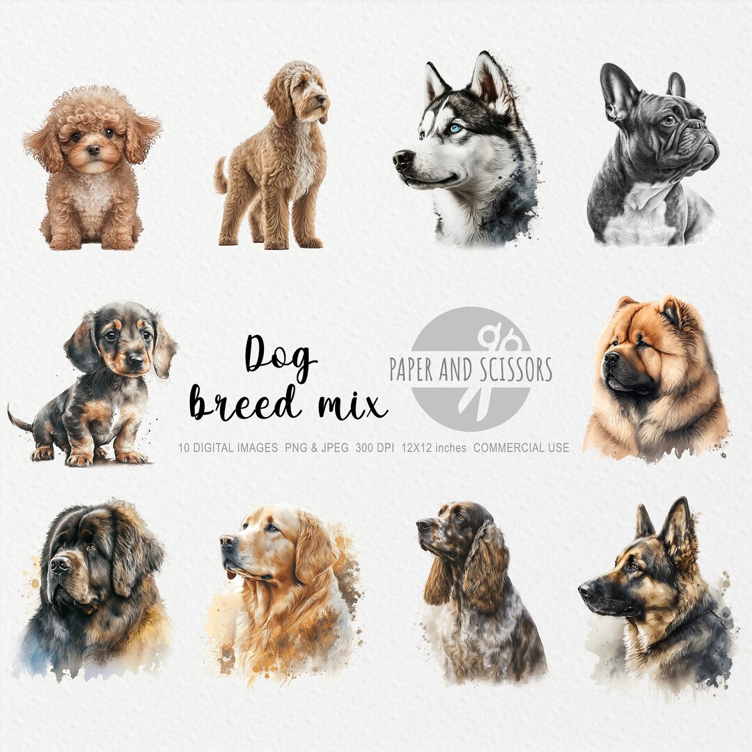 Dog Clipart, Dog PNG, Puppy PNG, Puppy Illustration, Puppy Clipart ...