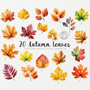 Watercolor Autumn Leaves Clipart, Fall Leaf PNG, Autumn Watercolor ...