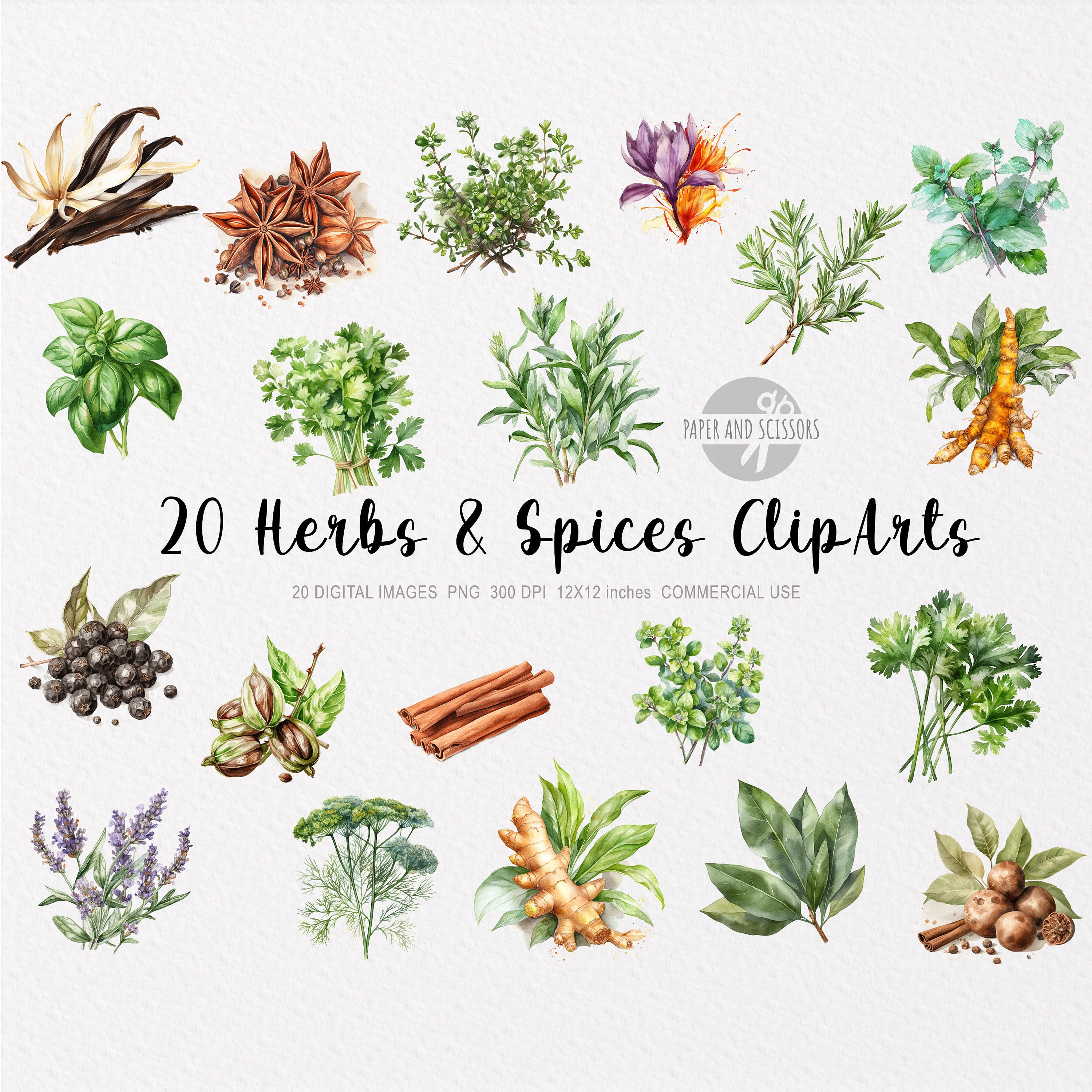 Herbs And Spices Clipart