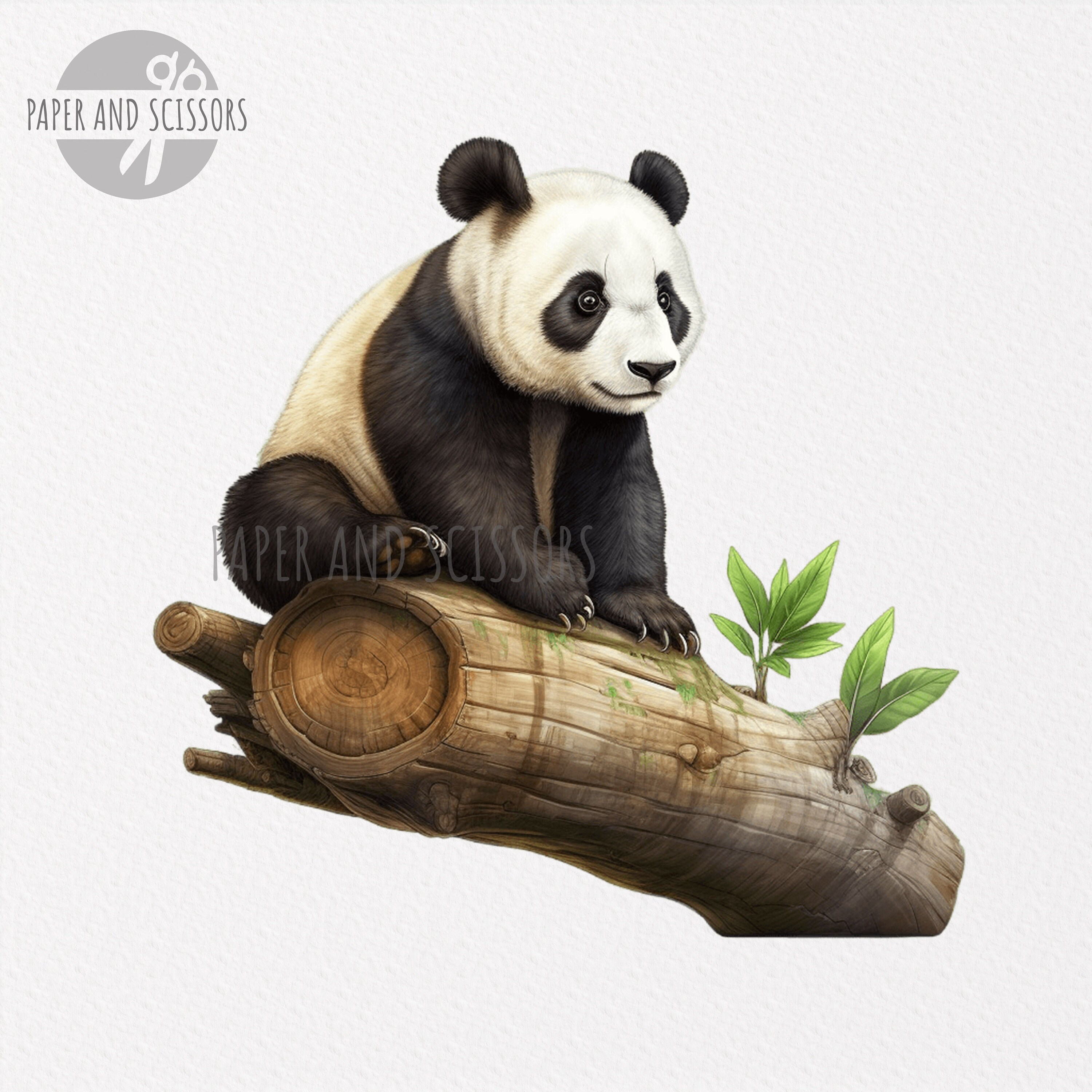 Panda Watercolor Clipart Panda PNG Panda Illustration Panda - Etsy