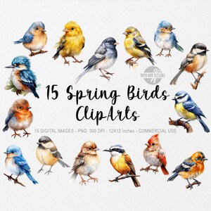 15 Spring Birds Cliparts, Little Birds PNG, Springtime Bird Images ...