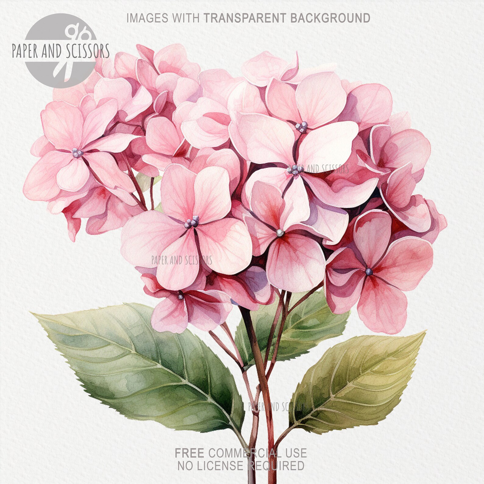 15 Hydrangea Flowers Clipart, Hydrangea PNG, Hydrangea Illustration ...