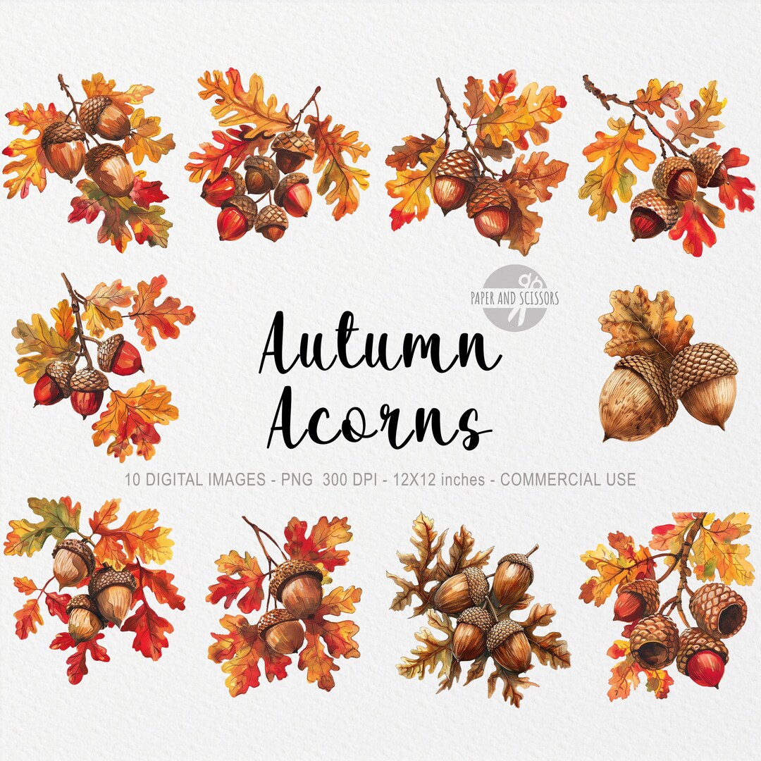 10 Autumn Acorn Cliparts, Fall Design PNG, Hello Autumn Decor ...