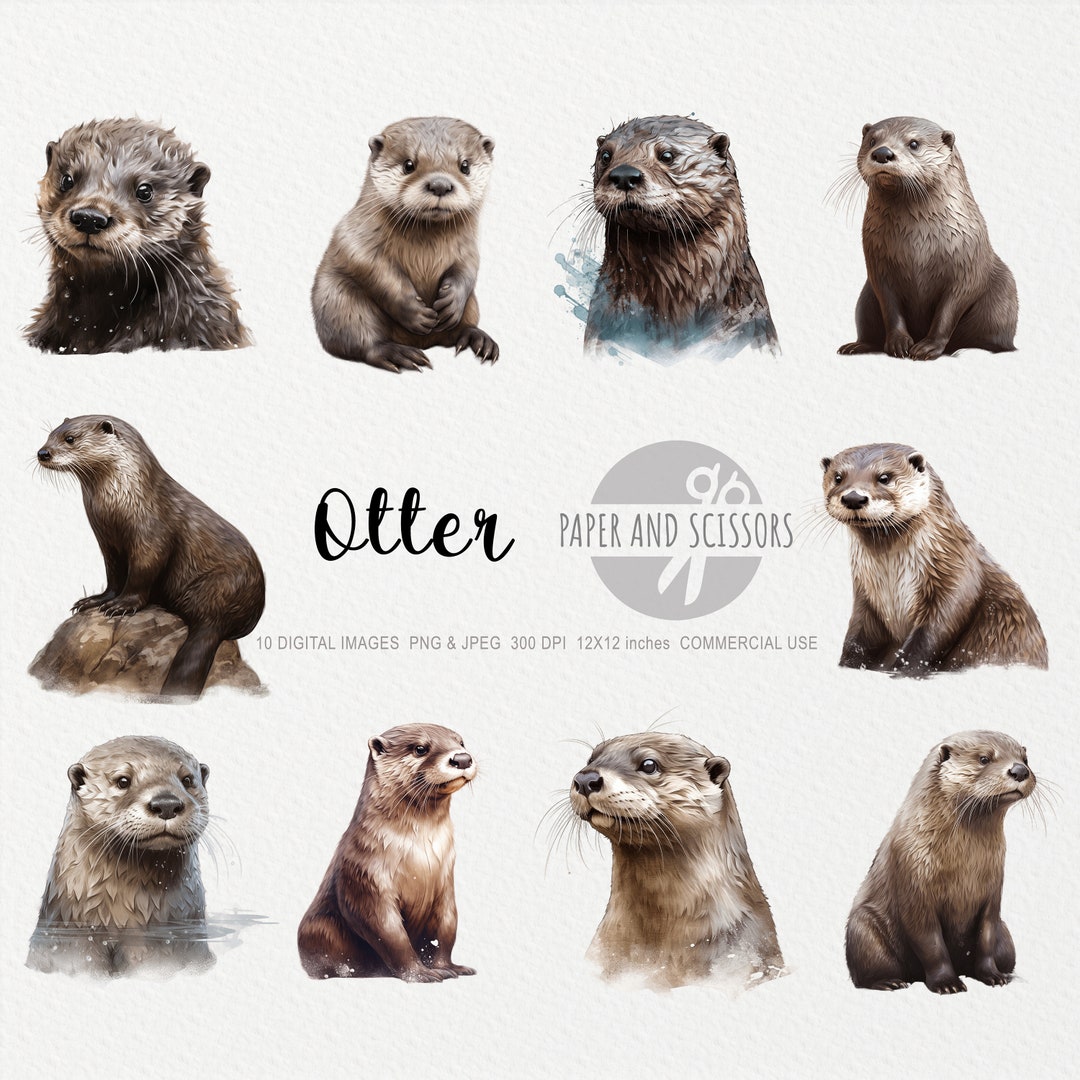 Otter Clipart, Otter PNG, Otter Illustration, Otter Watercolor, Otter ...