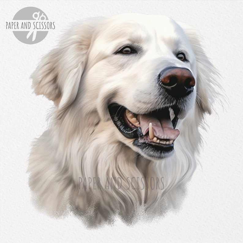 Great Pyrenees Clipart, Great Pyrenees PNG, Great Pyrenees Illustration ...