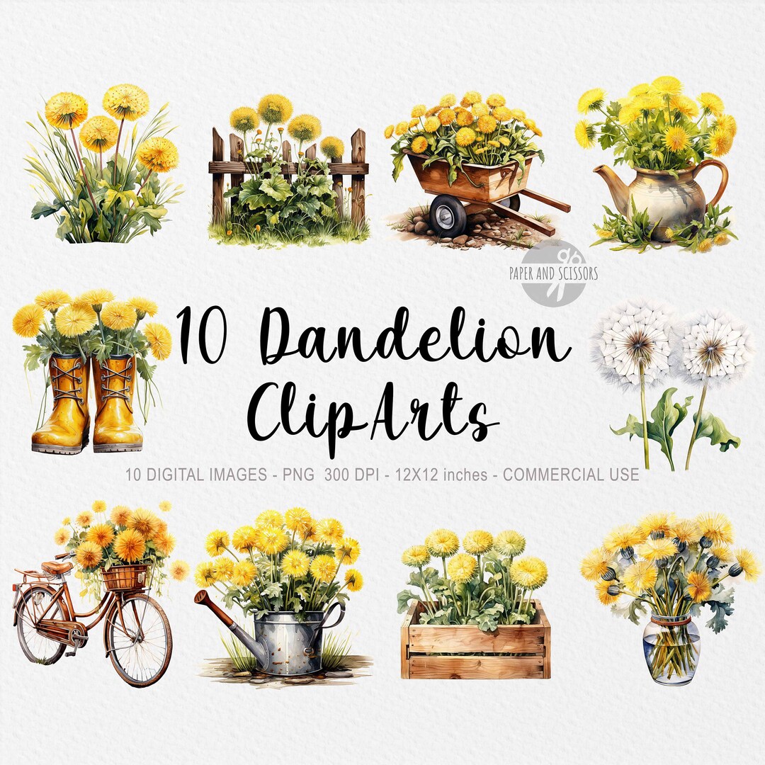 10 Dandelion Clipart, Dandelion PNG, Dandelion Illustration, Watercolor ...