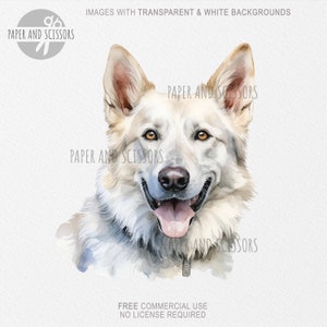 White Swiss Shepherd Clipart, Shepherd PNG, Shepherd Illustration, Dog ...