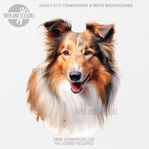 Rough Collie Clipart, Rough Collie PNG, Rough Collie Illustration, Dog ...
