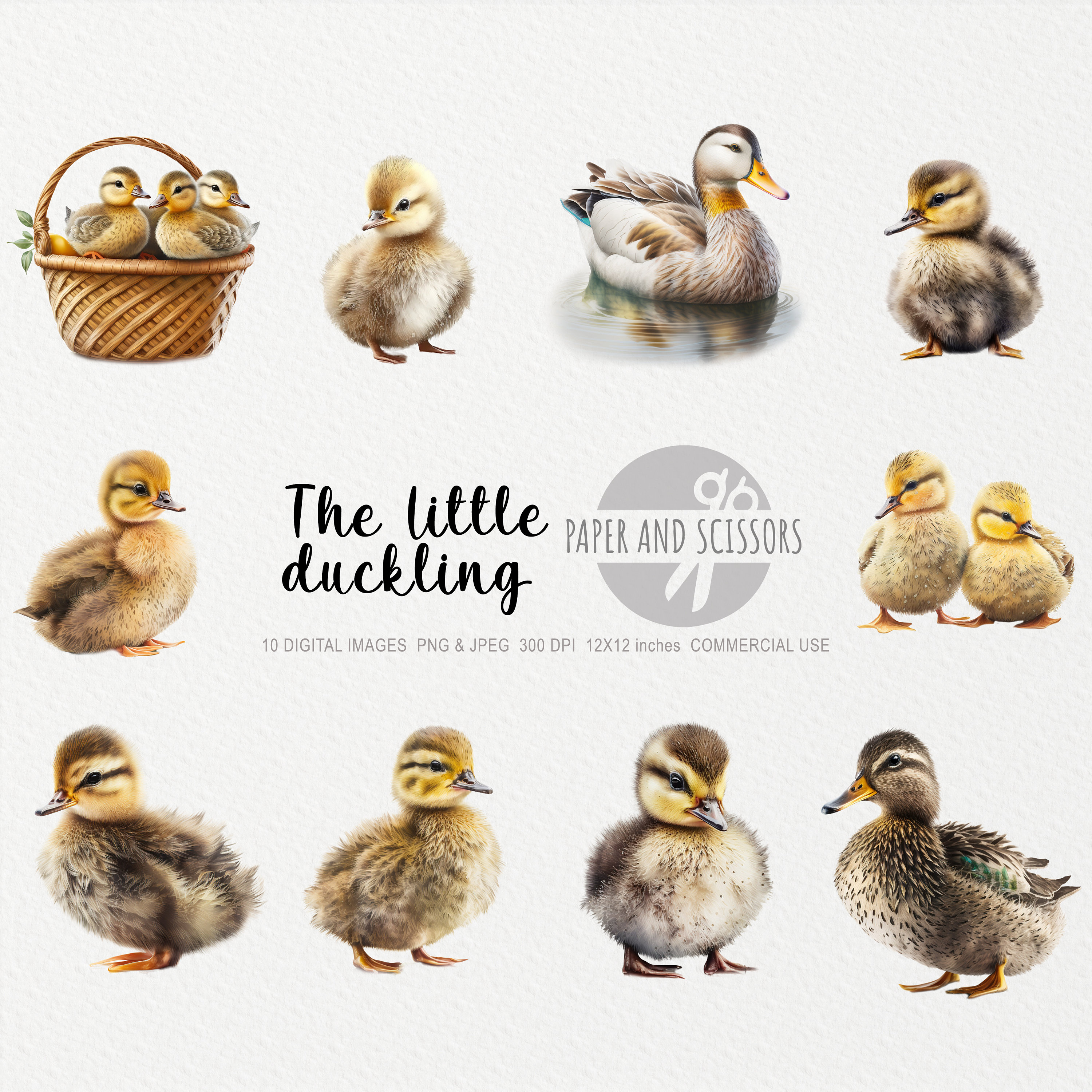 Little Duckling Clipart, Duck PNG, Duck Illustration, Duck Clipart ...