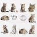 Ginger Cat Clipart, Ginger Cat PNG, Ginger Cat Illustration, Cat ...