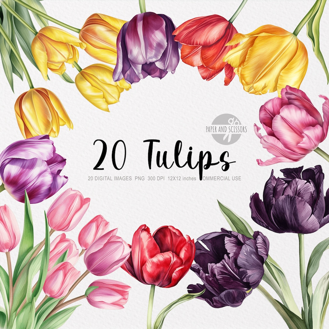 20 Tulips Clipart, Tulips PNG, Tulips Illustration, Watercolor Flowers, Floral PNG, Flowers ...