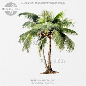 10 Palm Cliparts, Coconut Palm PNG, Summer Illustration, Watercolor ...