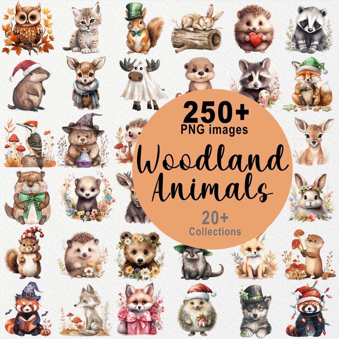 250+ Woodland Animal Cliparts, Bundle, Boho Forest, All Season Sets ...