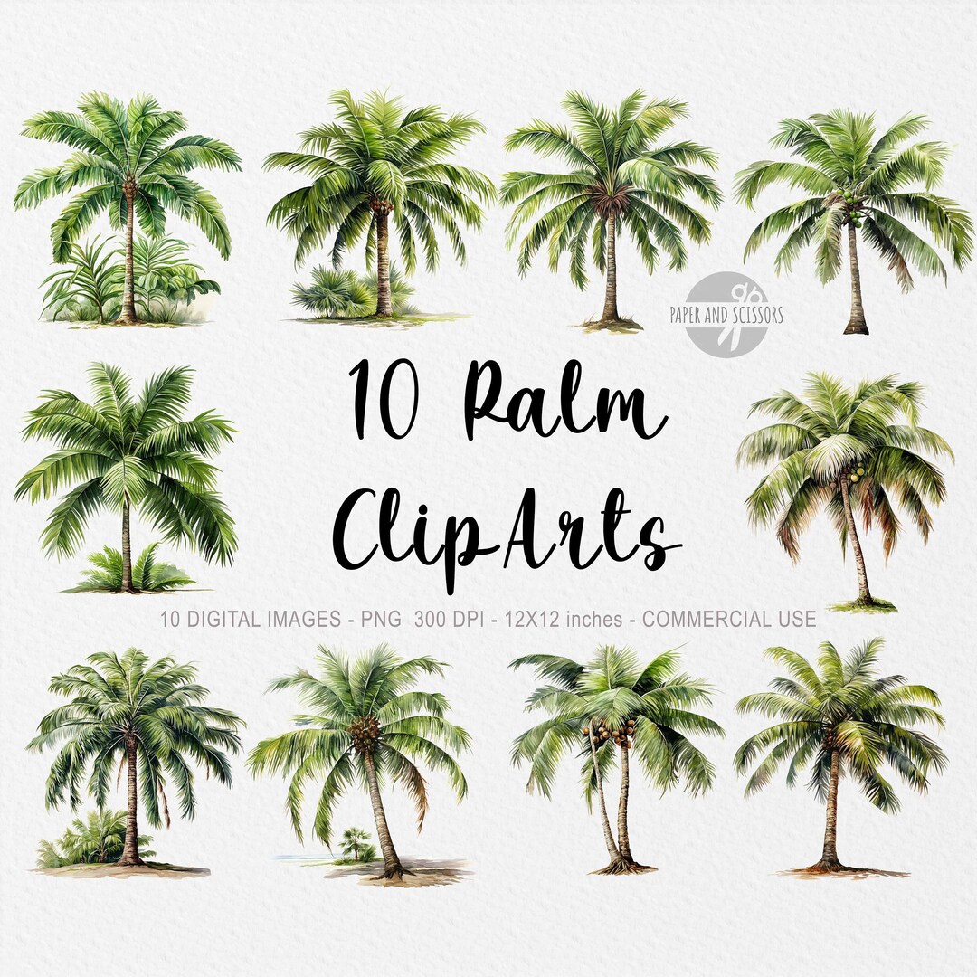 10 Palm Cliparts, Coconut Palm PNG, Summer Illustration, Watercolor ...