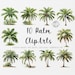 10 Palm Cliparts, Coconut Palm PNG, Summer Illustration, Watercolor ...