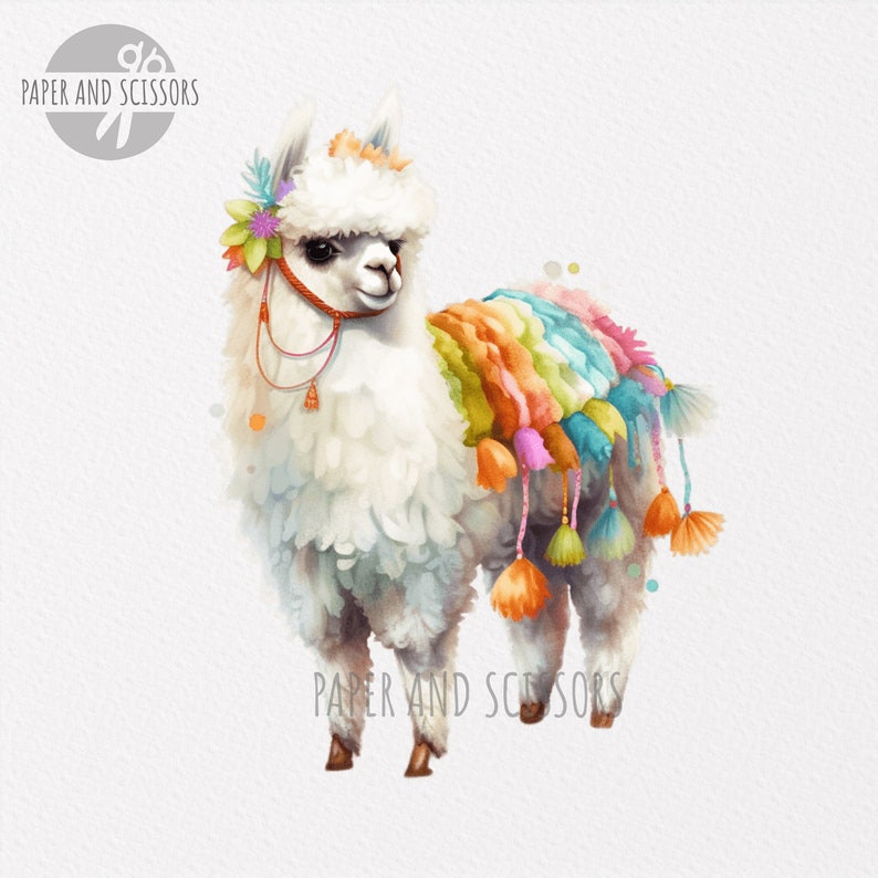 Funny Alpaca Clipart Alpaca PNG Alpaca Illustration Alpaca - Etsy