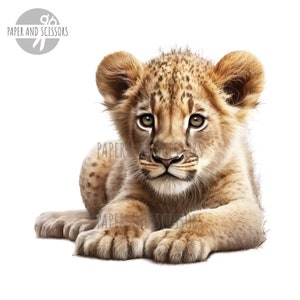 Wild Cats Clipart, Wild Kittens PNG, Tiger, Leopard, Lion Illustration ...