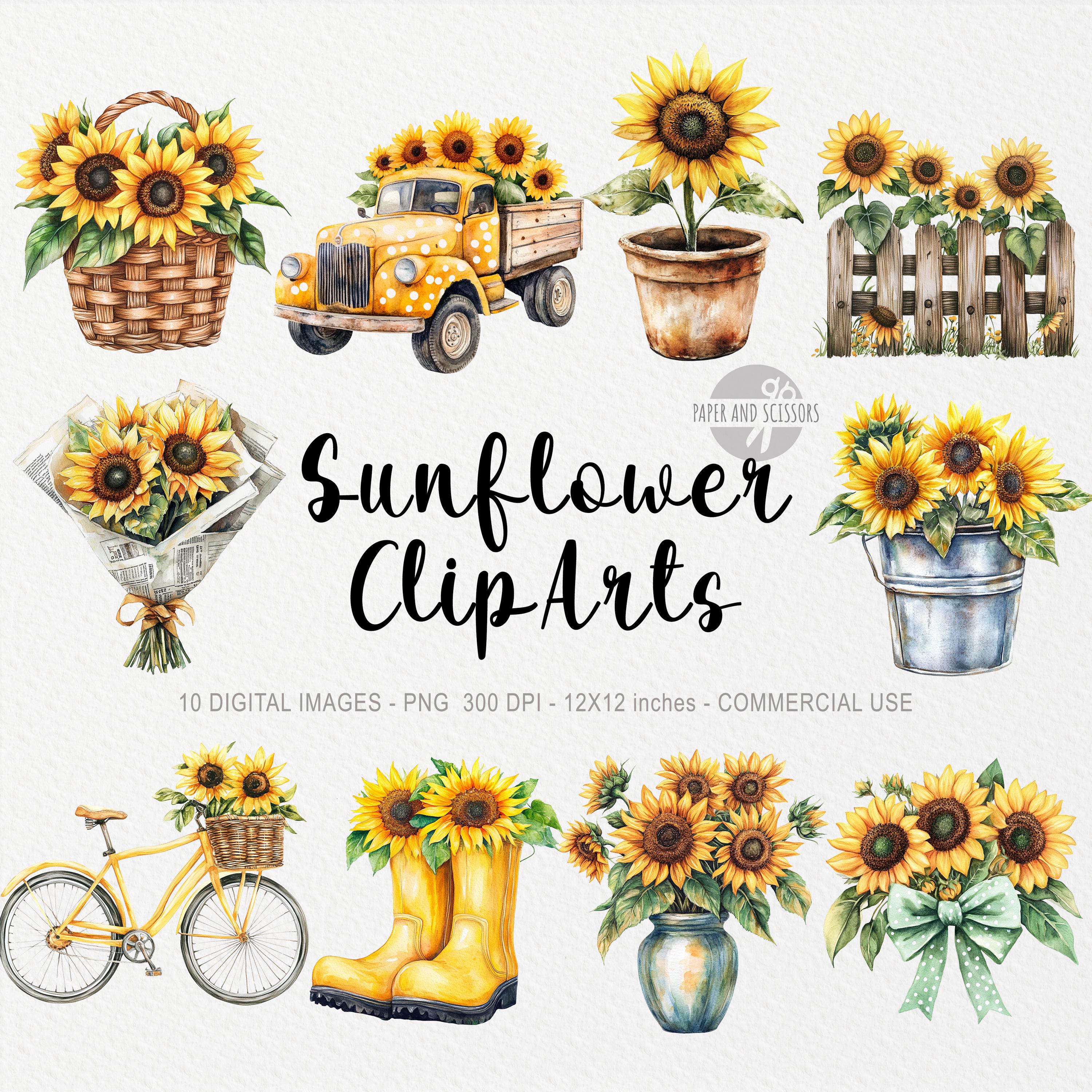 10 Sunflower Clipart, Flower PNG, Spring Illustration, Watercolor Boho ...
