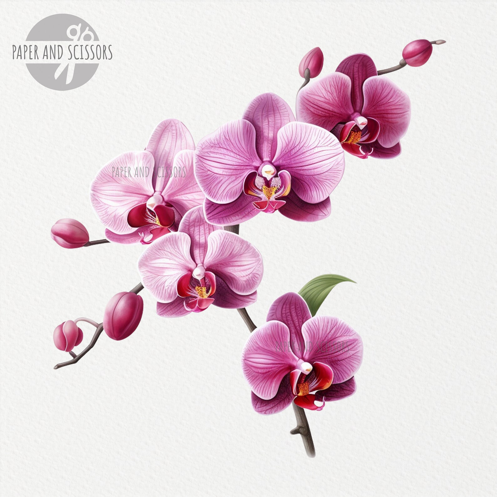 25 Orchid Clipart, Orchid PNG, Orchid Illustration, Watercolor Flowers ...