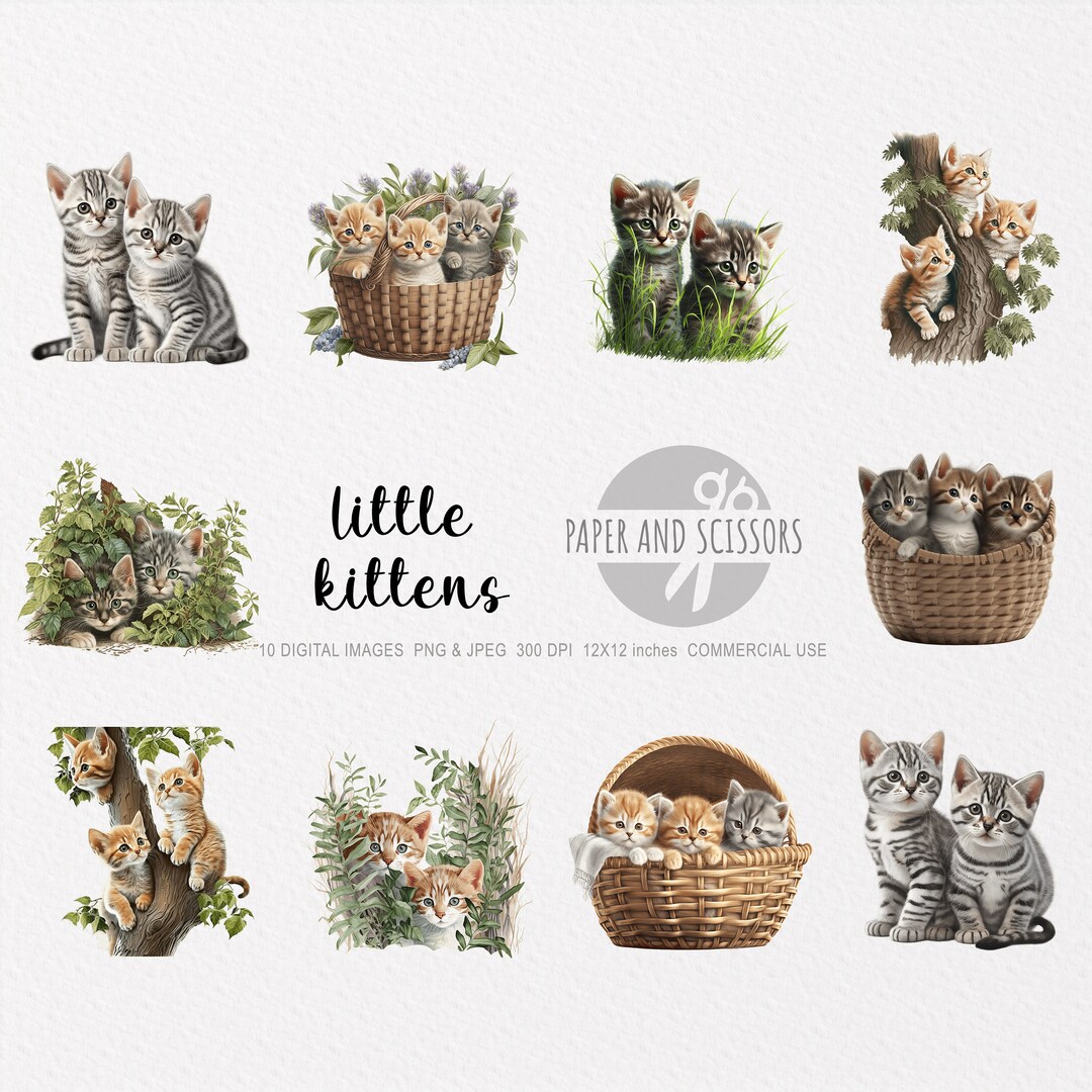 Little Kittens Clipart, Kitten PNG, Cat Illustration, Cat Clipart ...