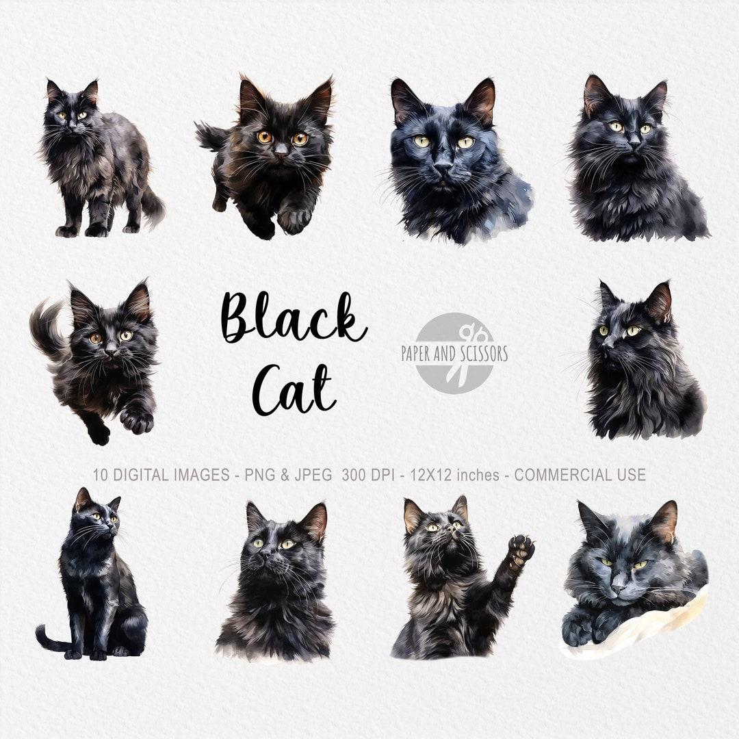 Black Cat Clipart, Black Cat PNG, Cat Illustration, Cat Cutout, Kitten ...