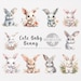 Cute Baby Bunny Clipart, Baby Bunny PNG, Bunny Illustration, Children ...