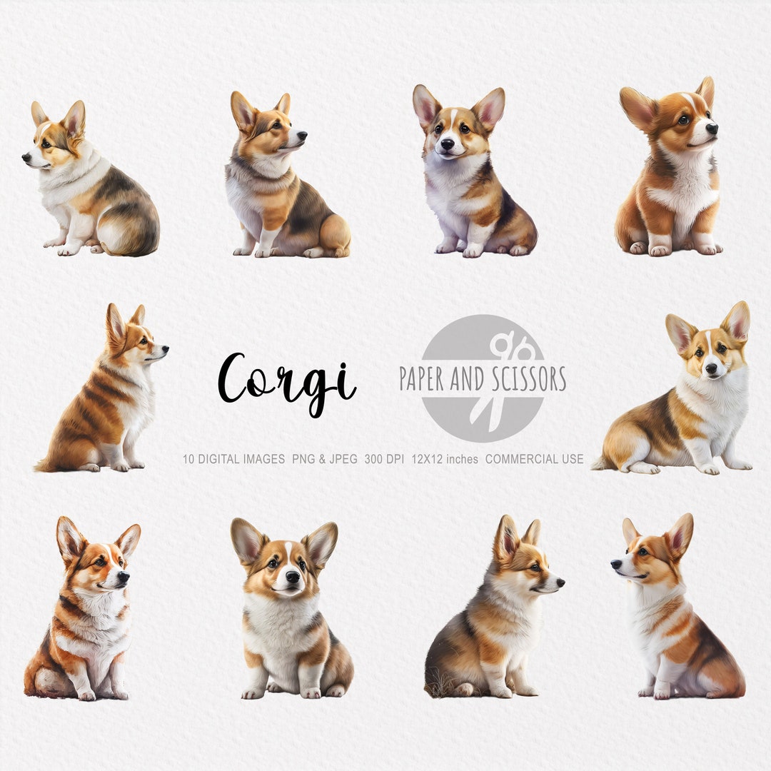 Corgi Dog Clipart, Corgi PNG, Corgi Illustration, Corgi Clipart, Dog ...