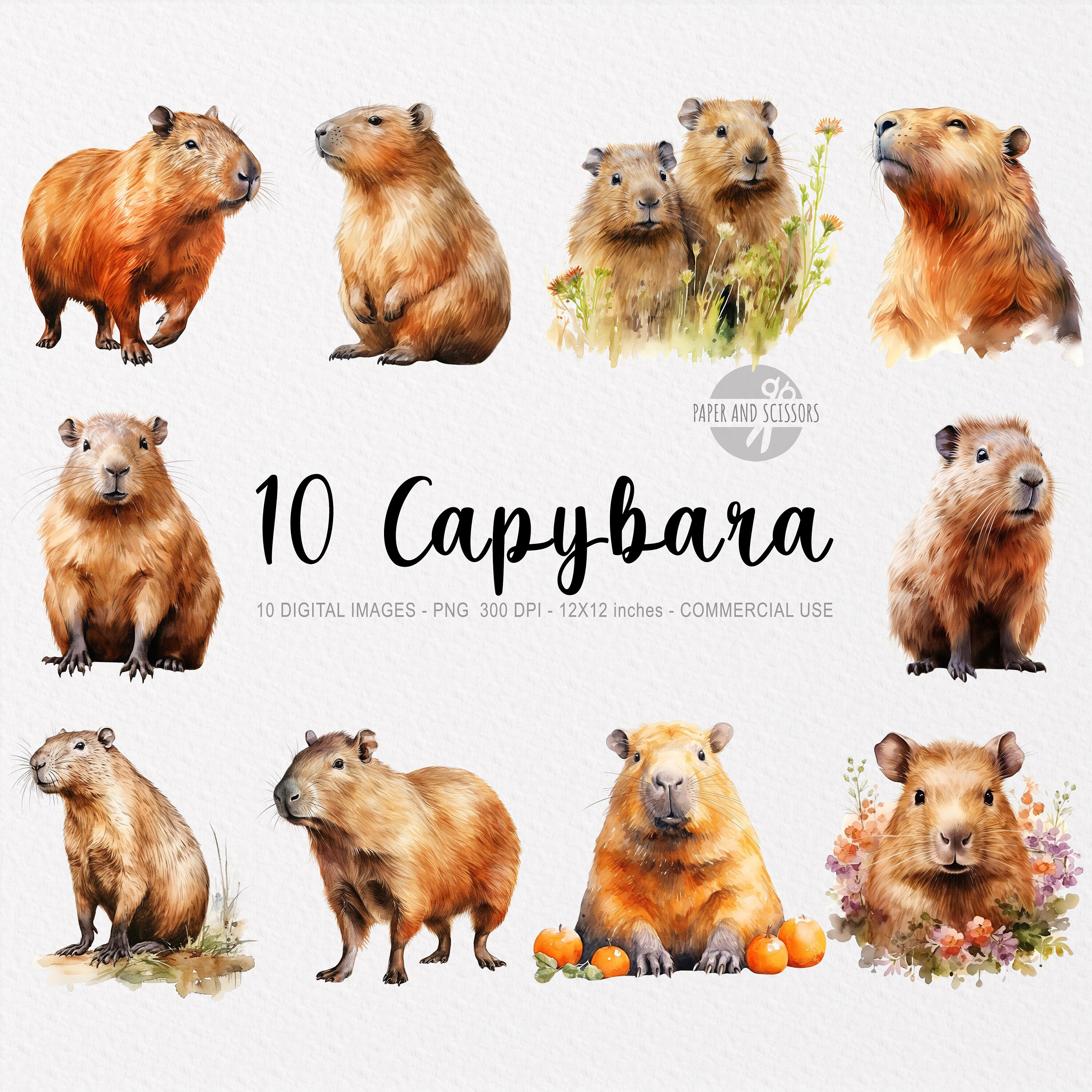 10 Capybara Watercolor Clipart, Capybara PNG, Capybara Illustration ...