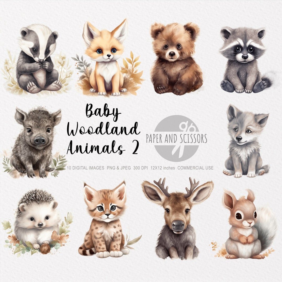 Baby Woodland Animals Clipart, Baby Woodland Animals PNG, Baby Animals ...