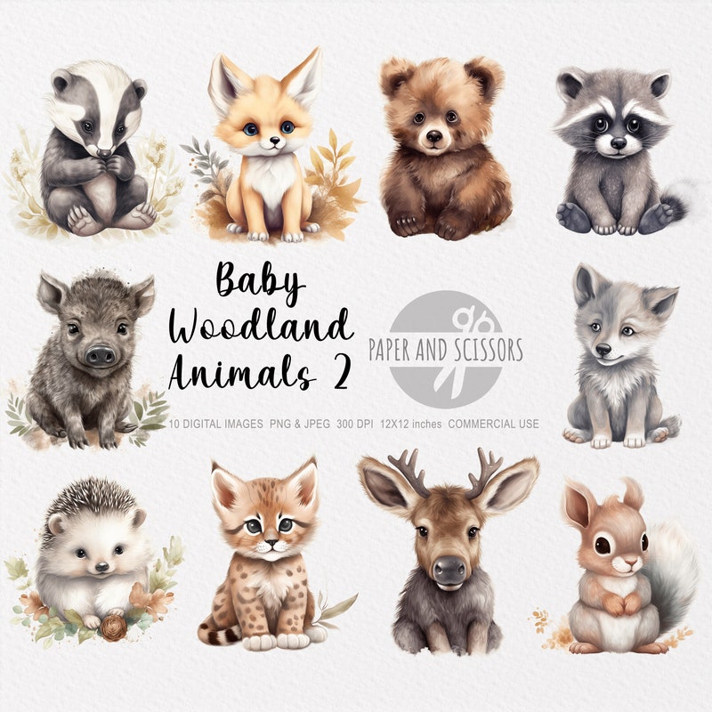 Baby Animal Art - Etsy
