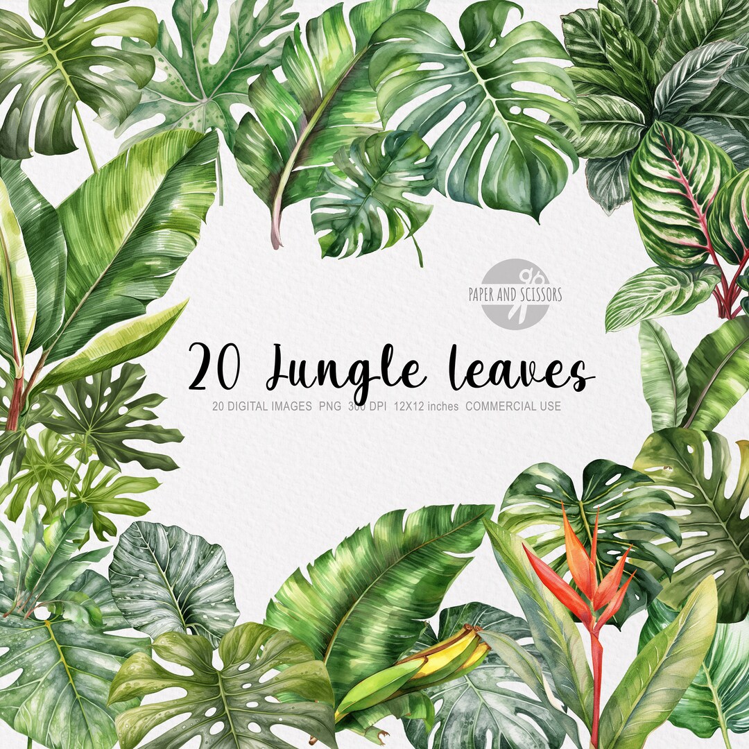 20 Watercolor Jungle Leaves Clipart, Jungle Leaves PNG, Leaves ...
