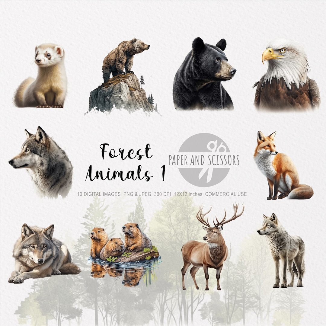 Forest Animals Clipart, Forest Animals PNG, Animals Illustration ...